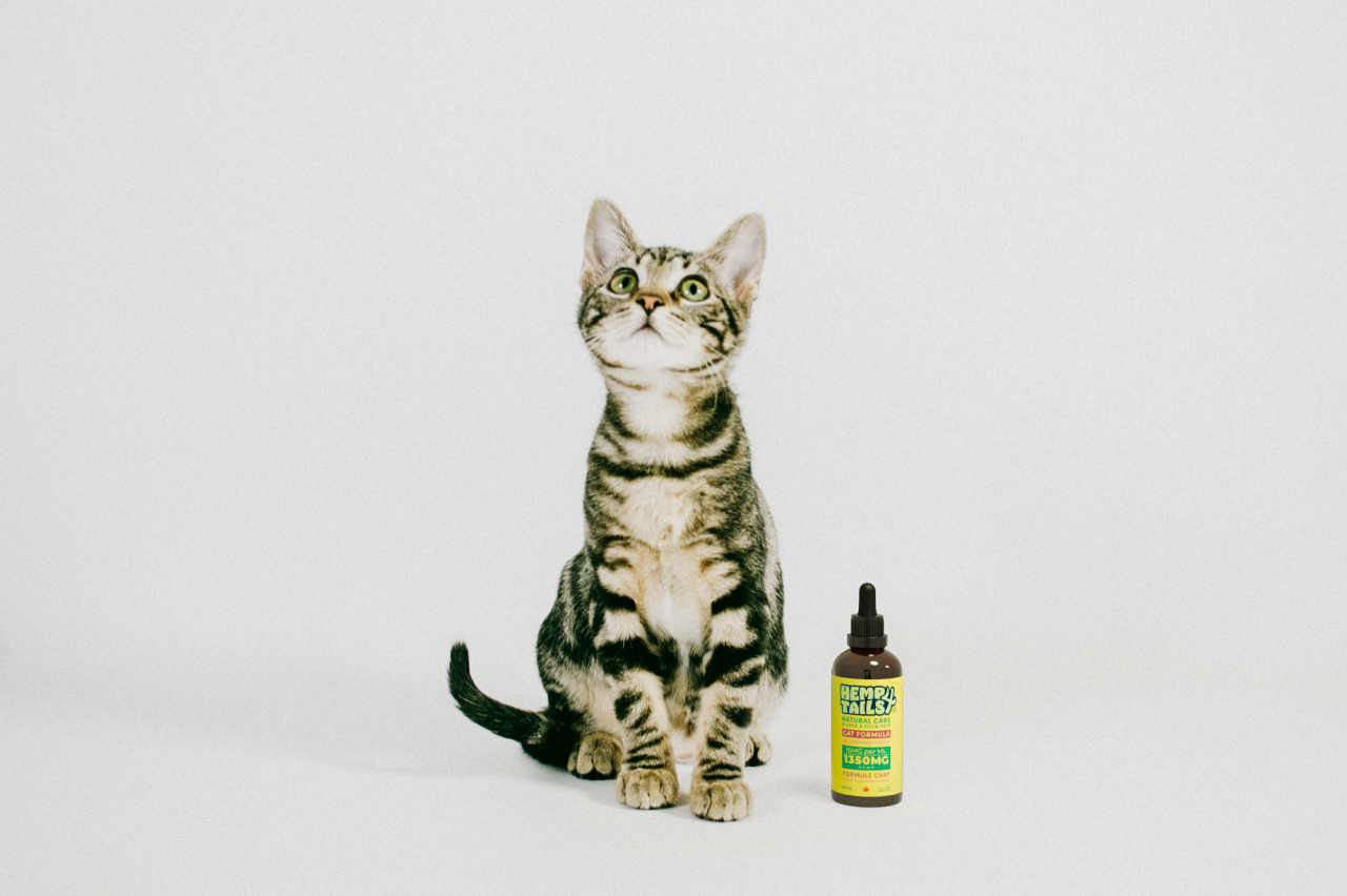 Hemp 4 Tails | NATURAL CARE & LOVE 4 YOUR PETS