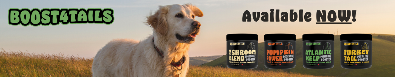 Hemp 4 Tails - NATURAL CARE & LOVE 4 YOUR PETS
